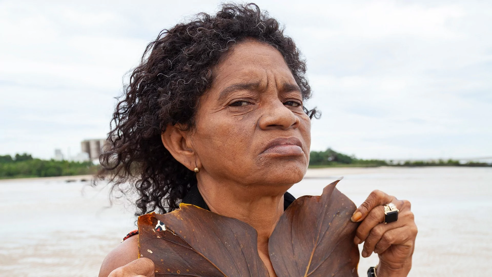 Flourish/Collapse | Atmos