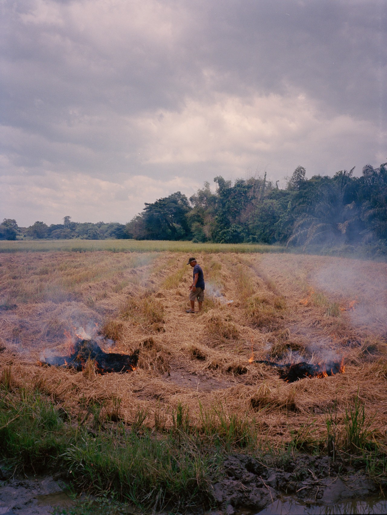 Sharif Hamza | Atmos