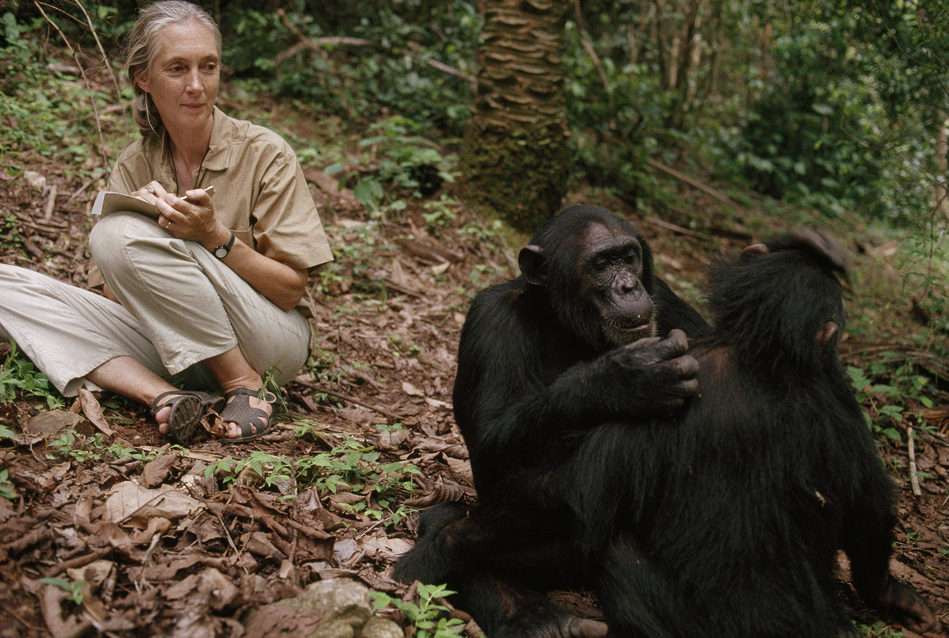 Jane Goodall & Jamie Margolin Activism, Conservation Interview | Atmos