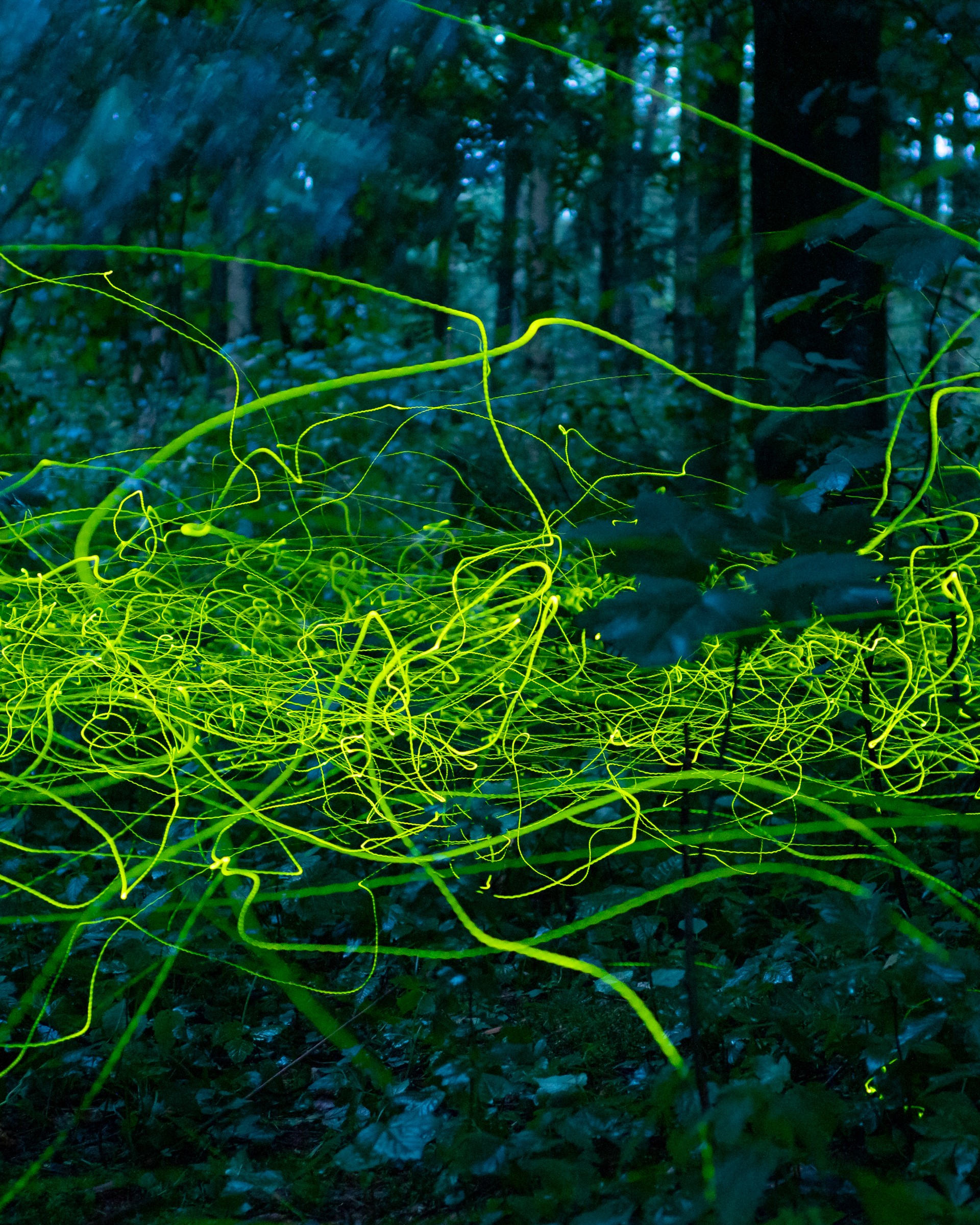 Willow Defebaugh | Atmos