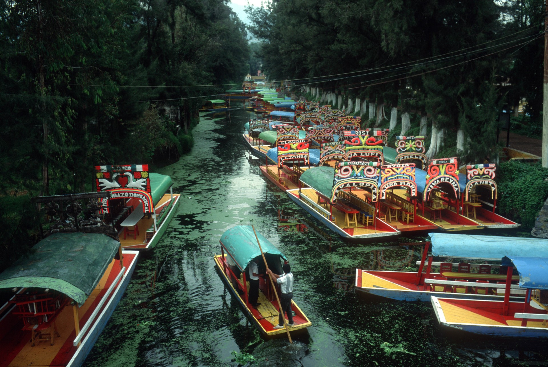 Rewilding the Endangered Axolotl in Lake Xochimilco - Atmos