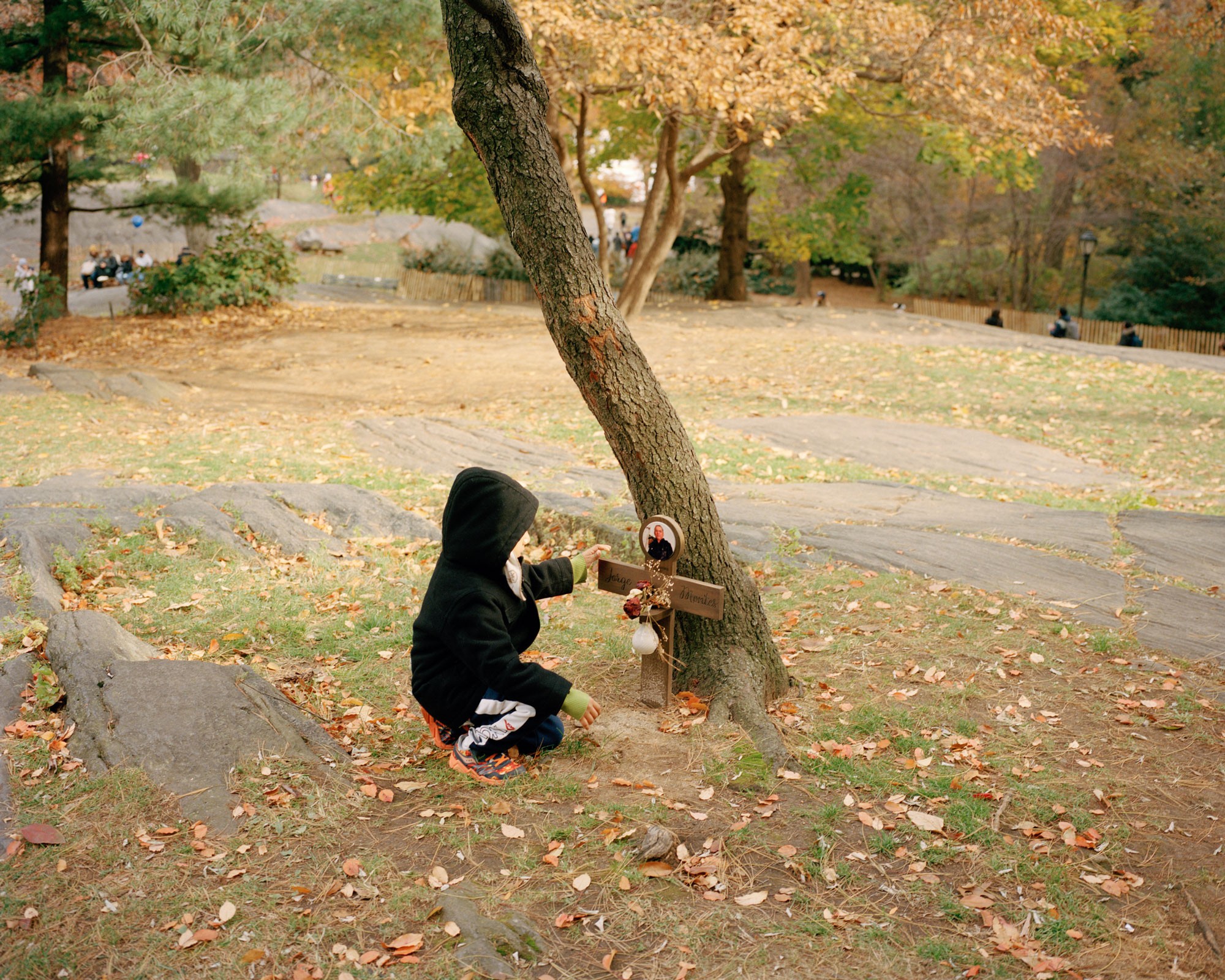 An Ode to Common Places | Atmos