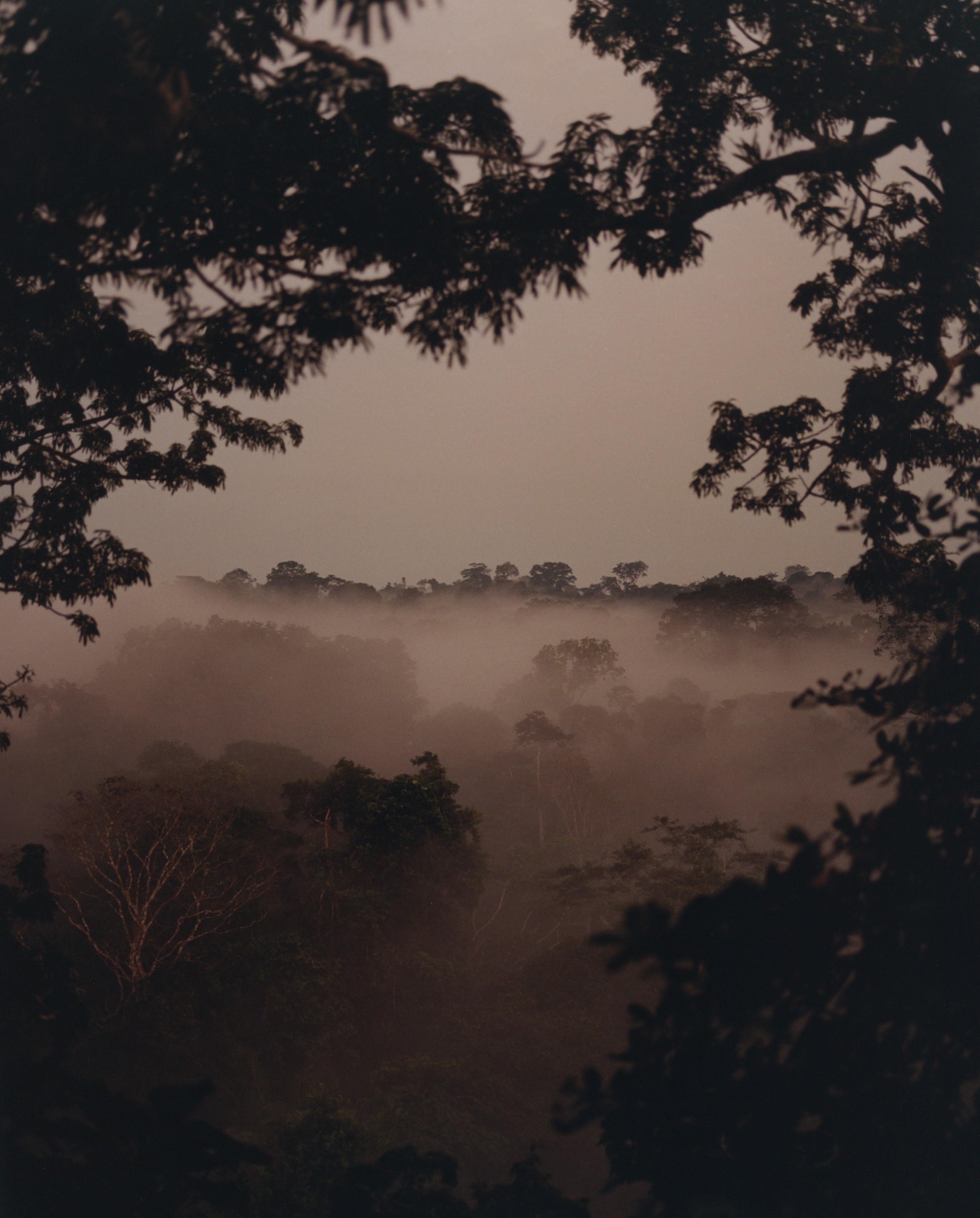 A Glimpse Inside the Research Station Working to Preserve Lowland ...