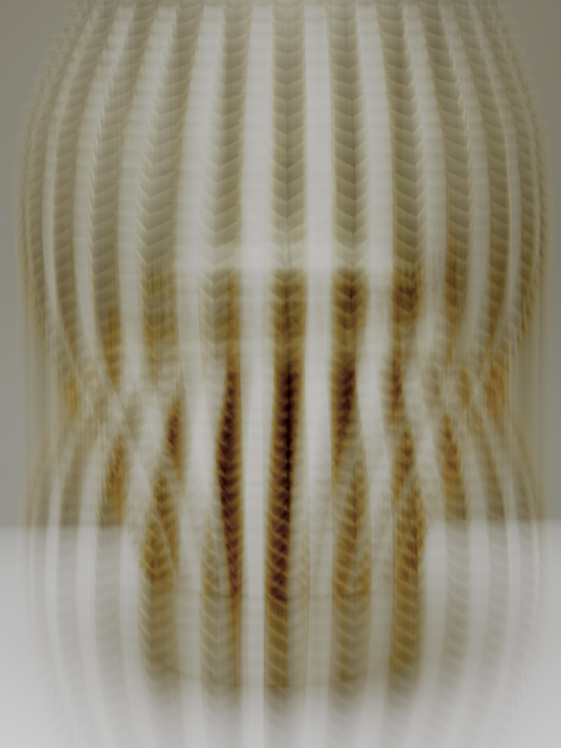 Tribes Unite in Defense of Culture and Forests | Atmos