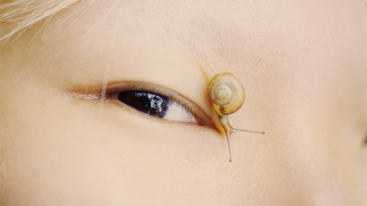 dear earth competition