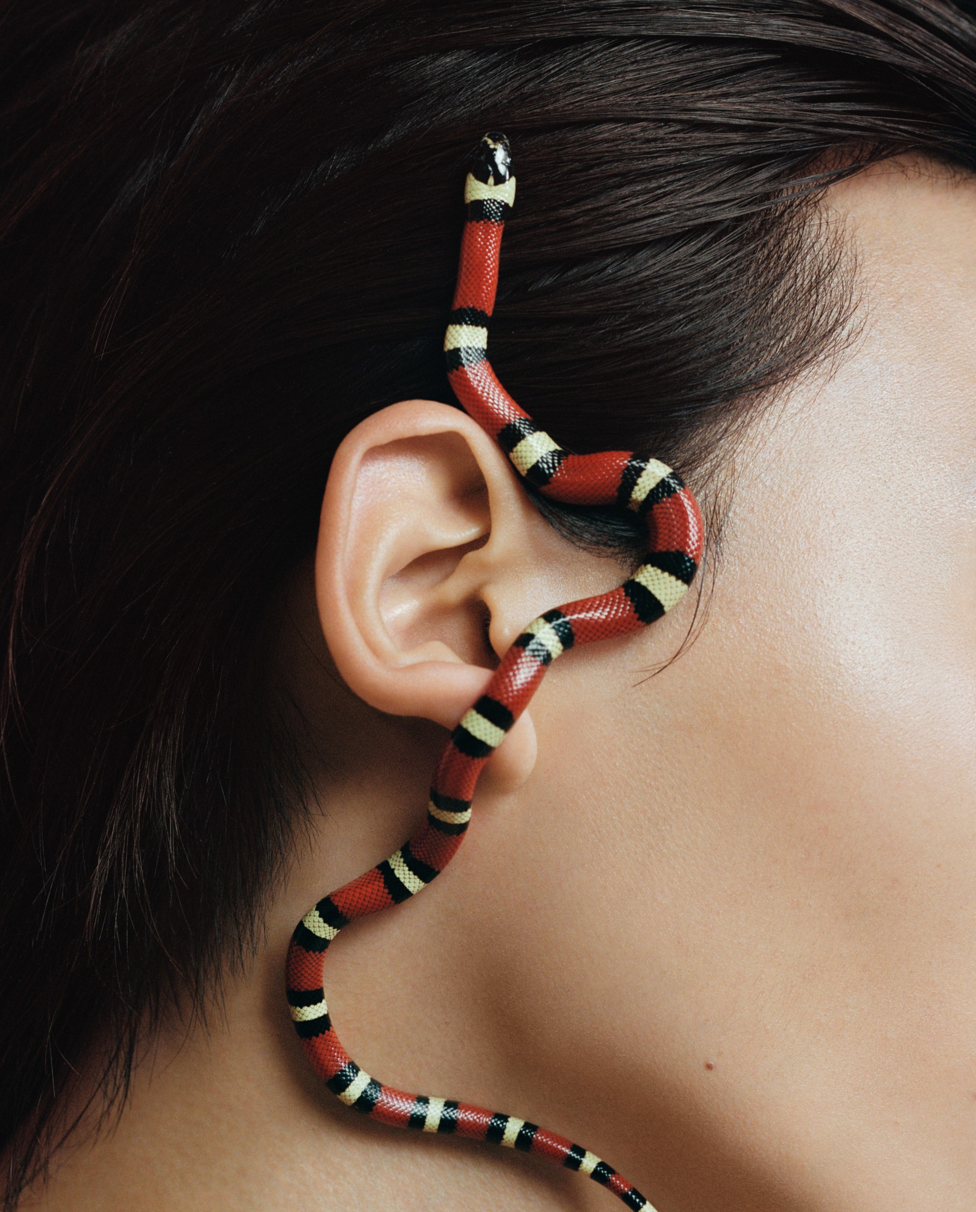 Evolution: Ben Toms Photographs Nature's Shapeshifters | Atmos