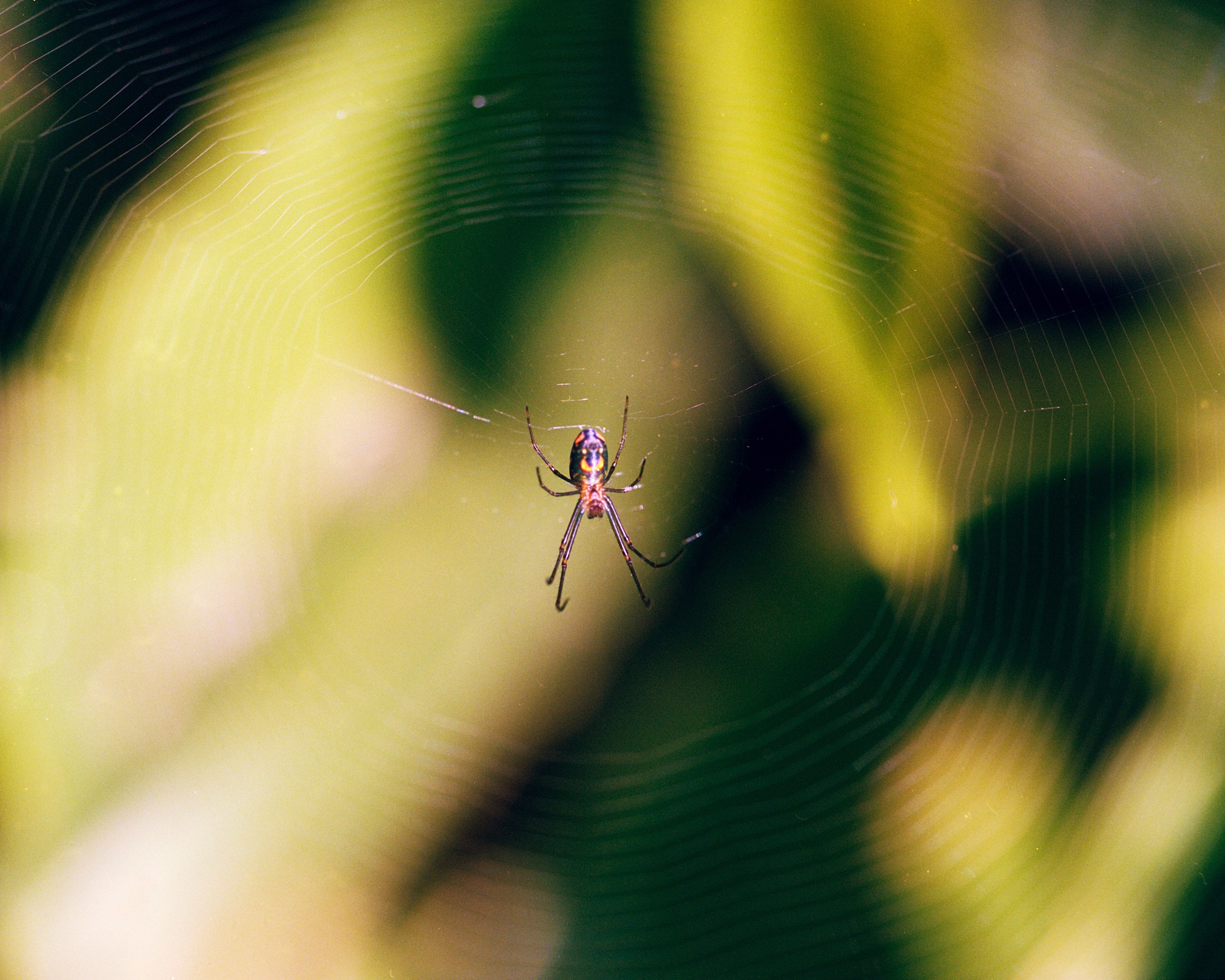 The Kogi People: Sharing Indigenous Wisdom Through Art - Atmos